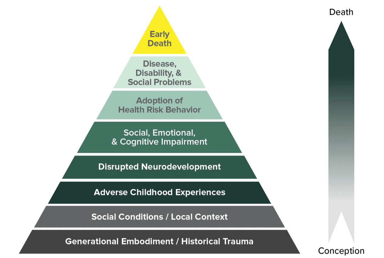 PTSD and Trauma Informed Care with Older Adults